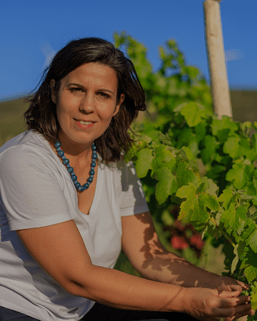 Como funciona | BUPi - Balcão Único do Prédio