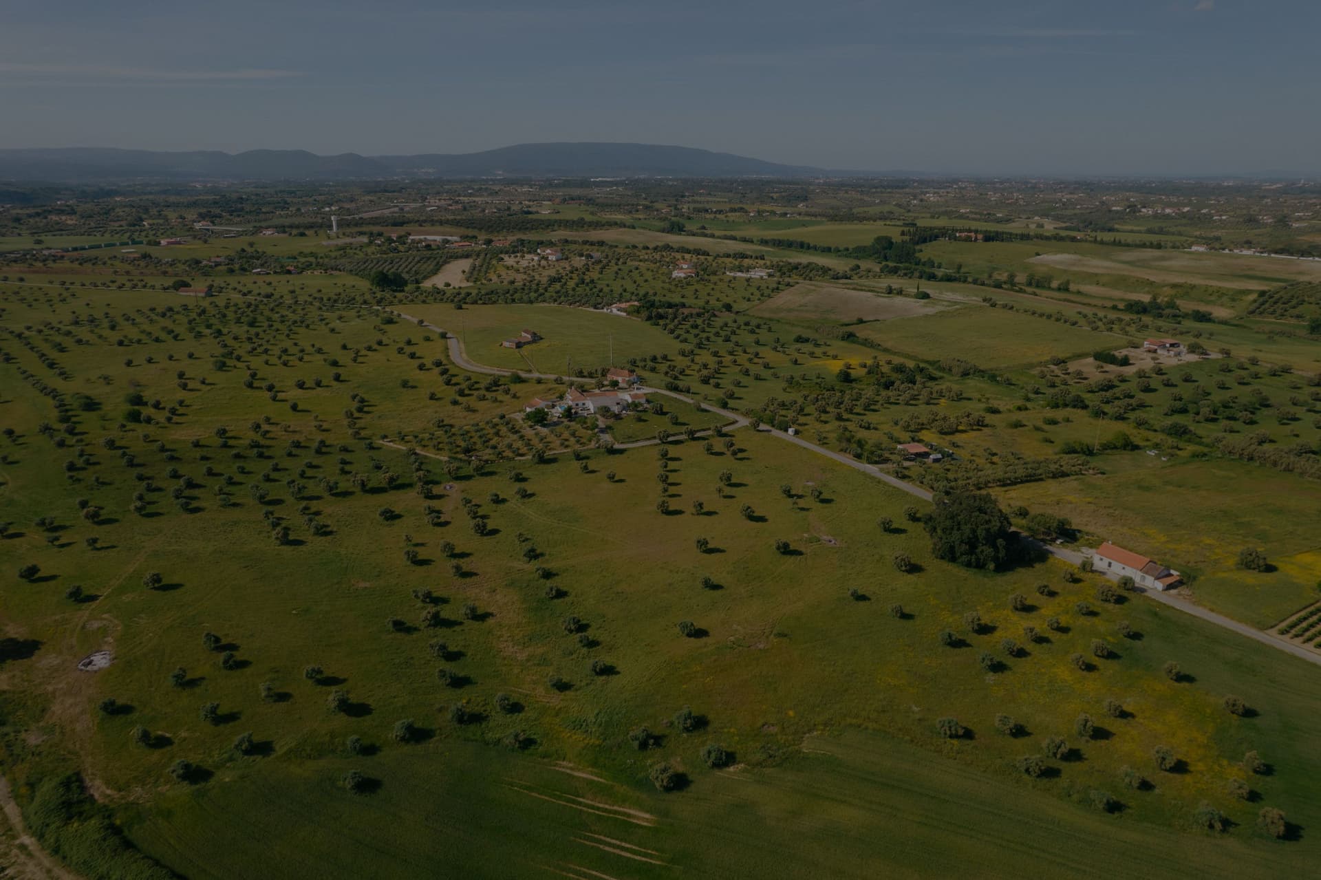 Guia de utilização App BUPi | BUPi - Balcão Único do Prédio